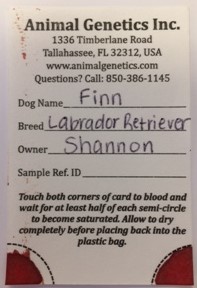 Canine Sample Collection